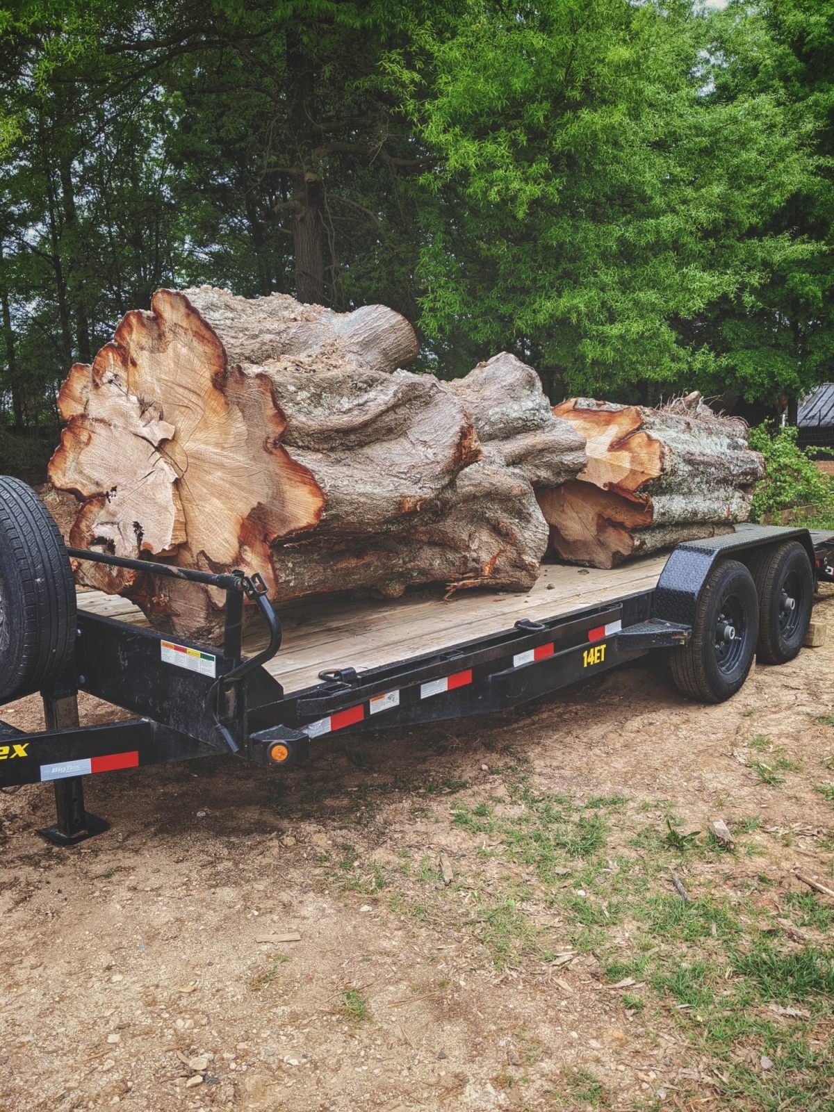 Custom Sawmilling - Rustic Roots Warehouse - Rock Hill's #1 Best Custom ...
